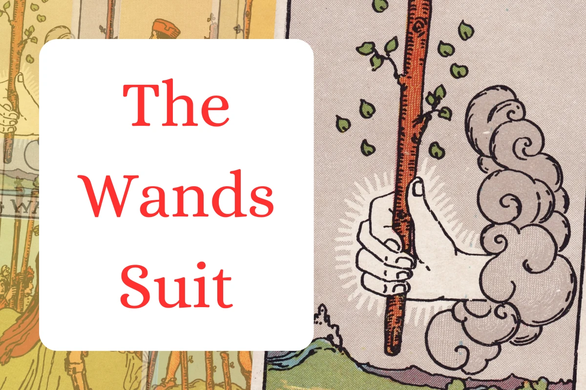 The Wands Suit: A Journey Through Passion, Action, and Growth - Tarot ...
